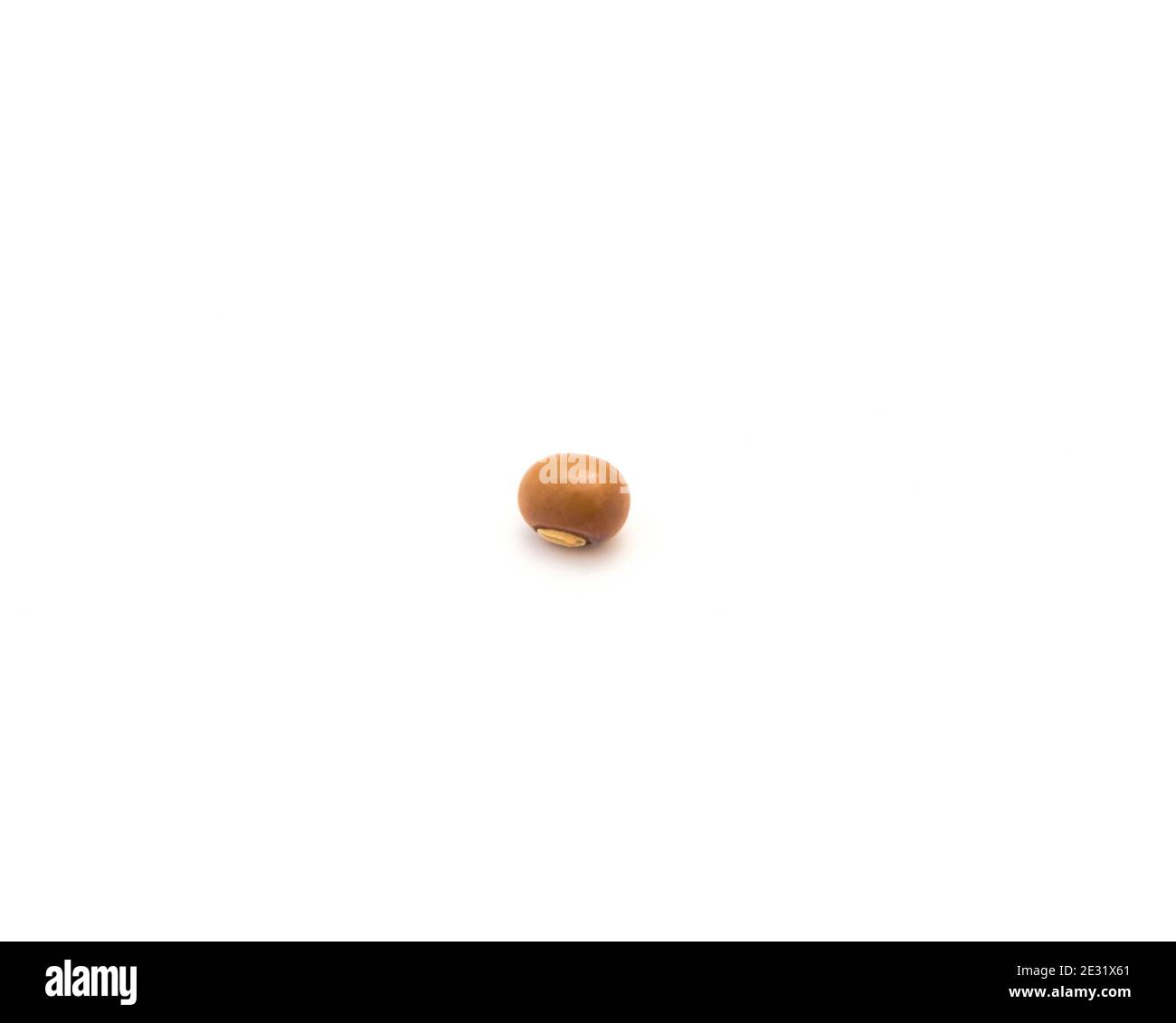 Studio shot one winged bean (Psophocarpus tetragonolobus) isolated on ...