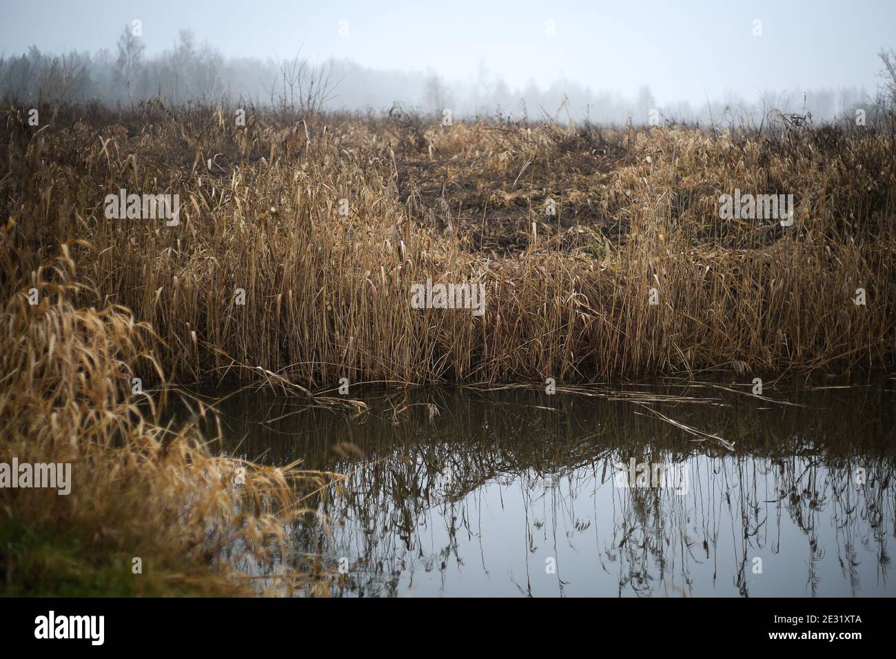 The river svete hi-res stock photography and images - Alamy