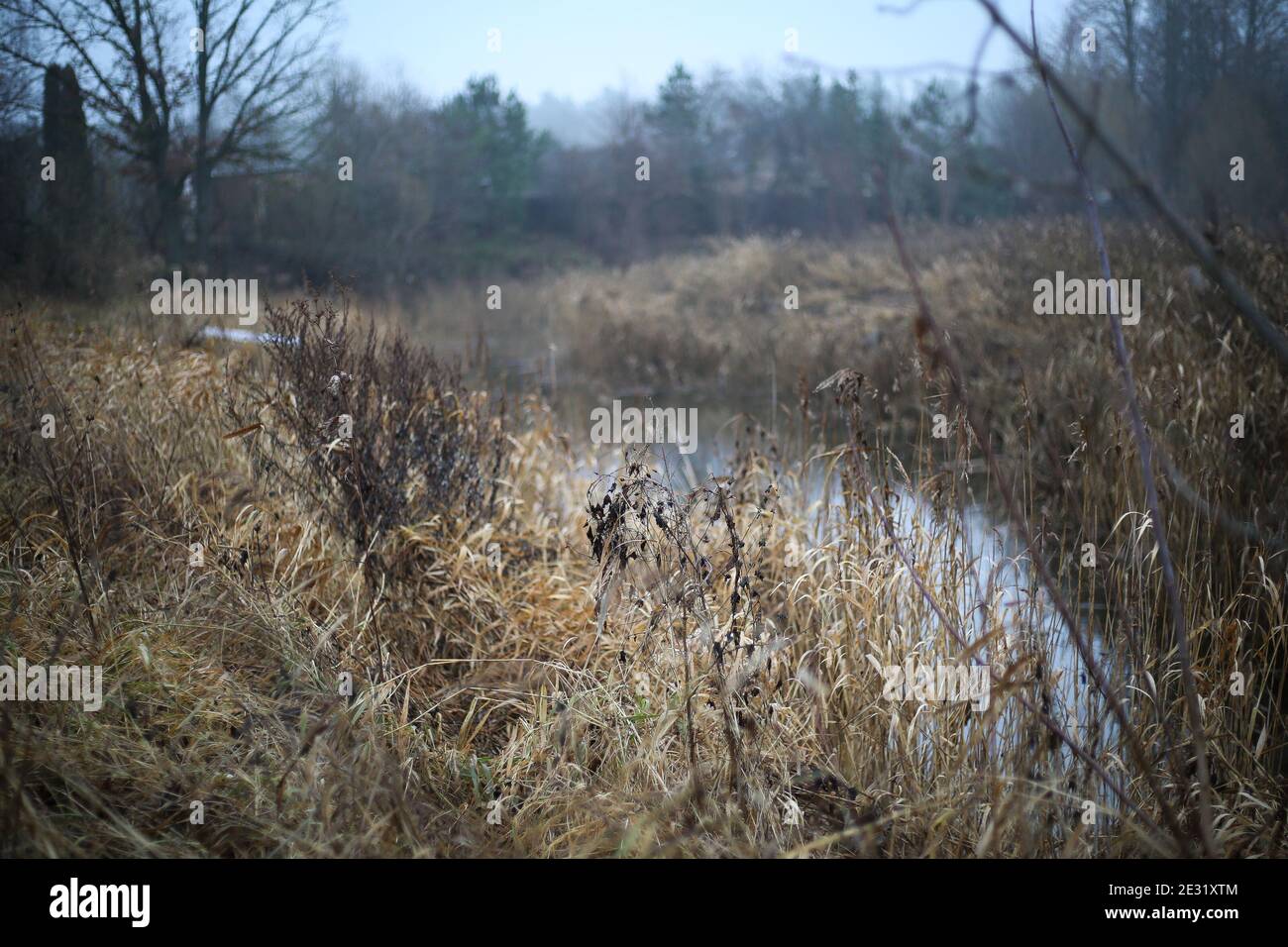 Grey sky brown river water hi-res stock photography and images - Alamy