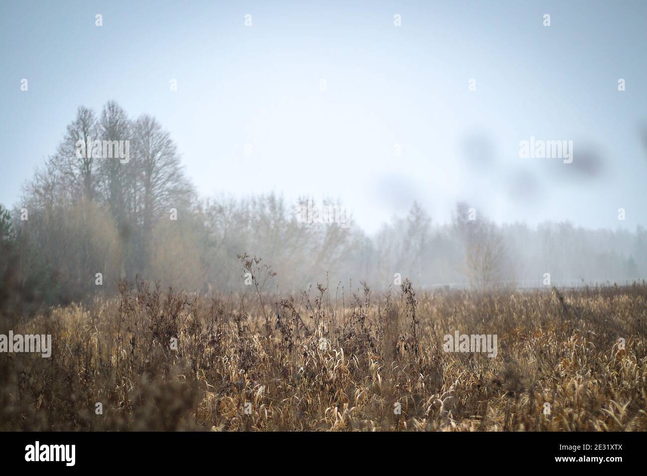 Deepwater river hi-res stock photography and images - Alamy