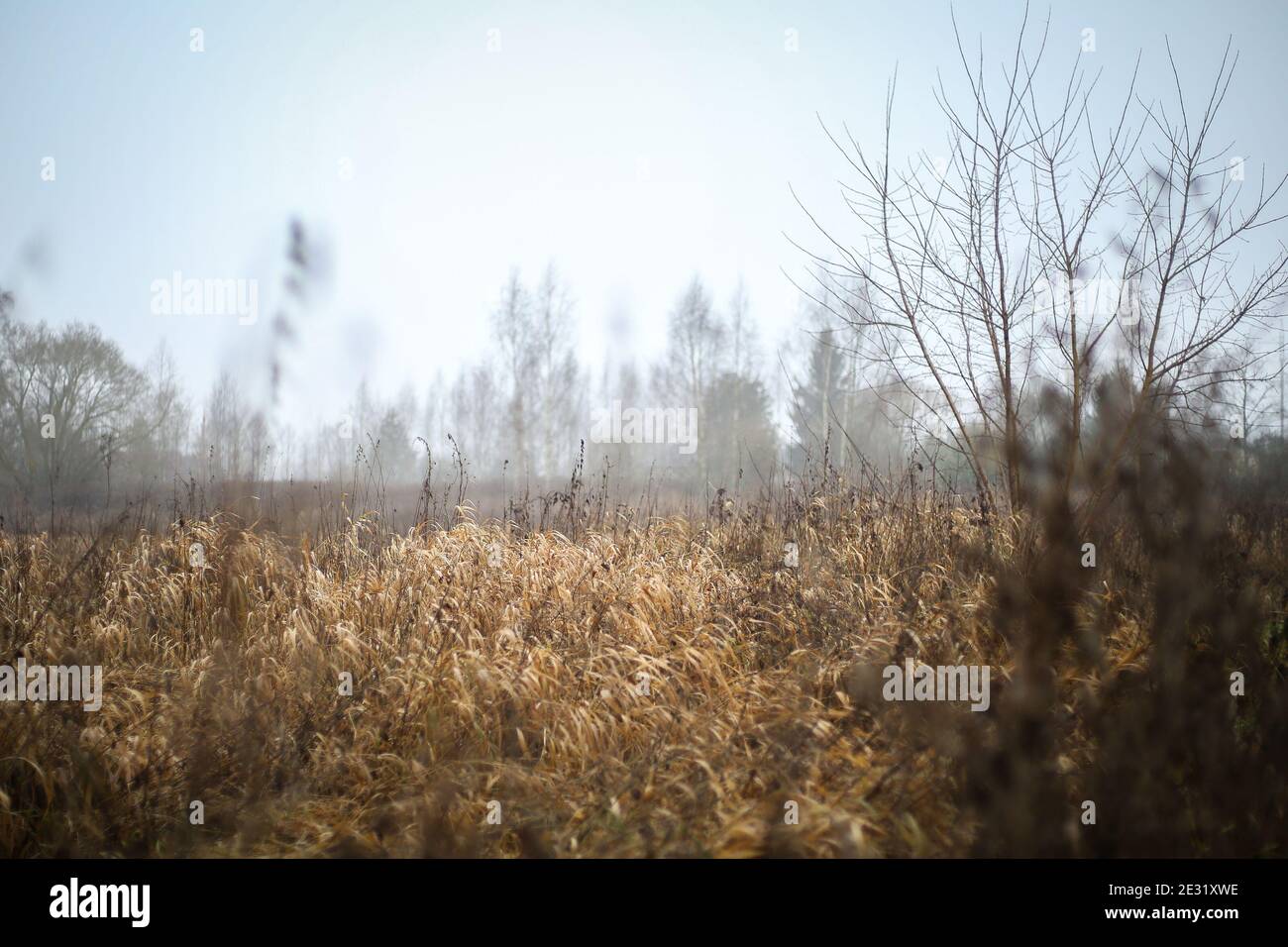 The river svete hi-res stock photography and images - Alamy