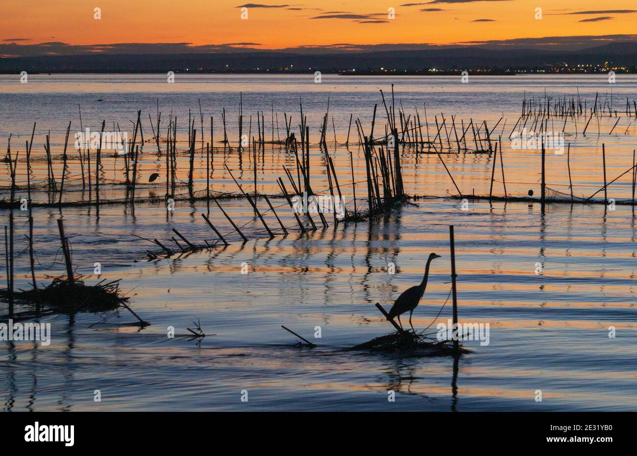 Lake of albufera hi-res stock photography and images - Alamy