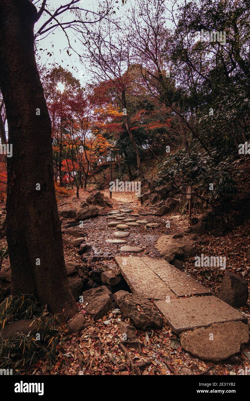 Plant japan path walking hi-res stock photography and images - Alamy