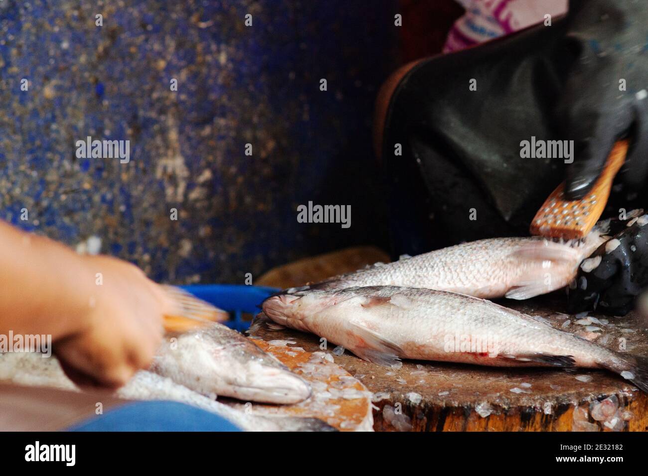 Fish market activity hi-res stock photography and images - Alamy