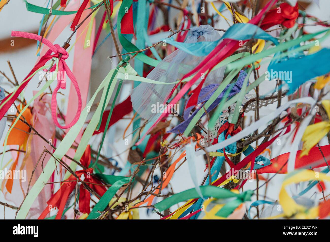 Bright ribbons are tied to branches of tree. Wish tree. Each ribbon ...