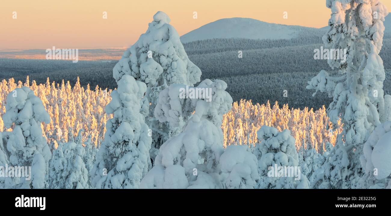 Snowy forest and fells in Finland's Lapland Stock Photo - Alamy