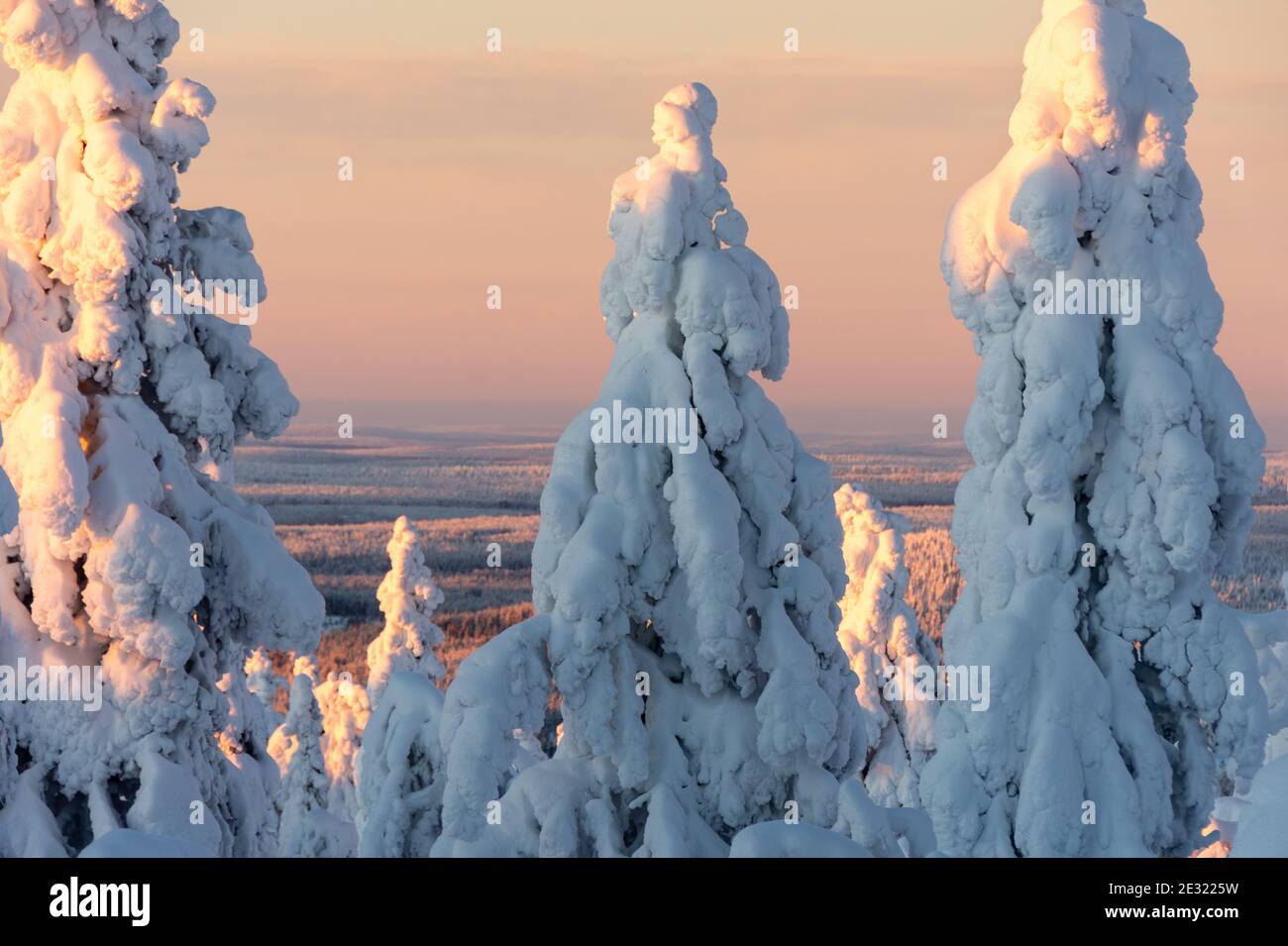 Finlands nature hi-res stock photography and images - Alamy