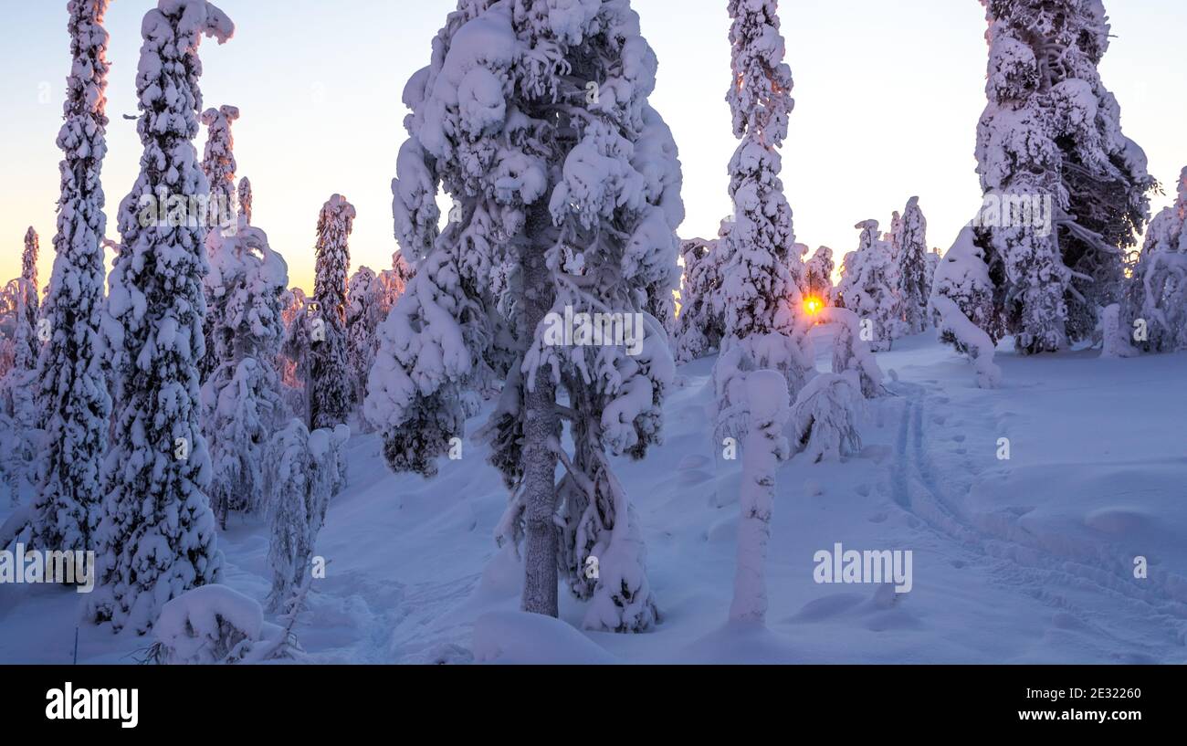 Snowy forest and fells in Finland's Lapland Stock Photo - Alamy