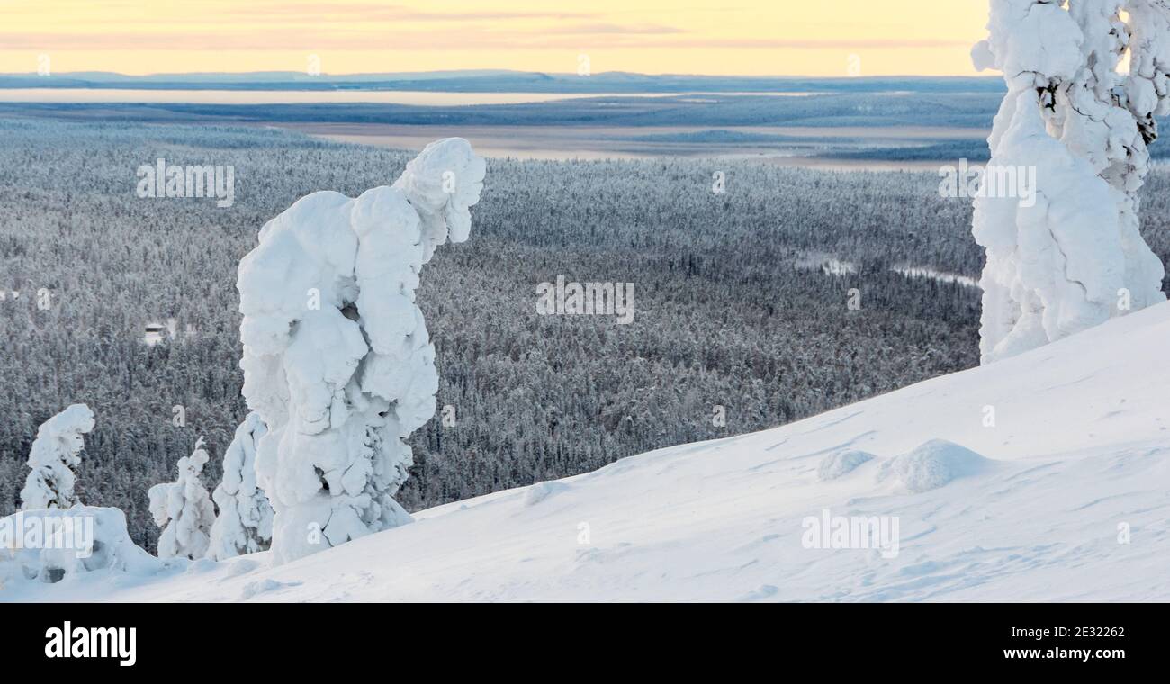 Snowy forest and fells in Finland's Lapland Stock Photo - Alamy