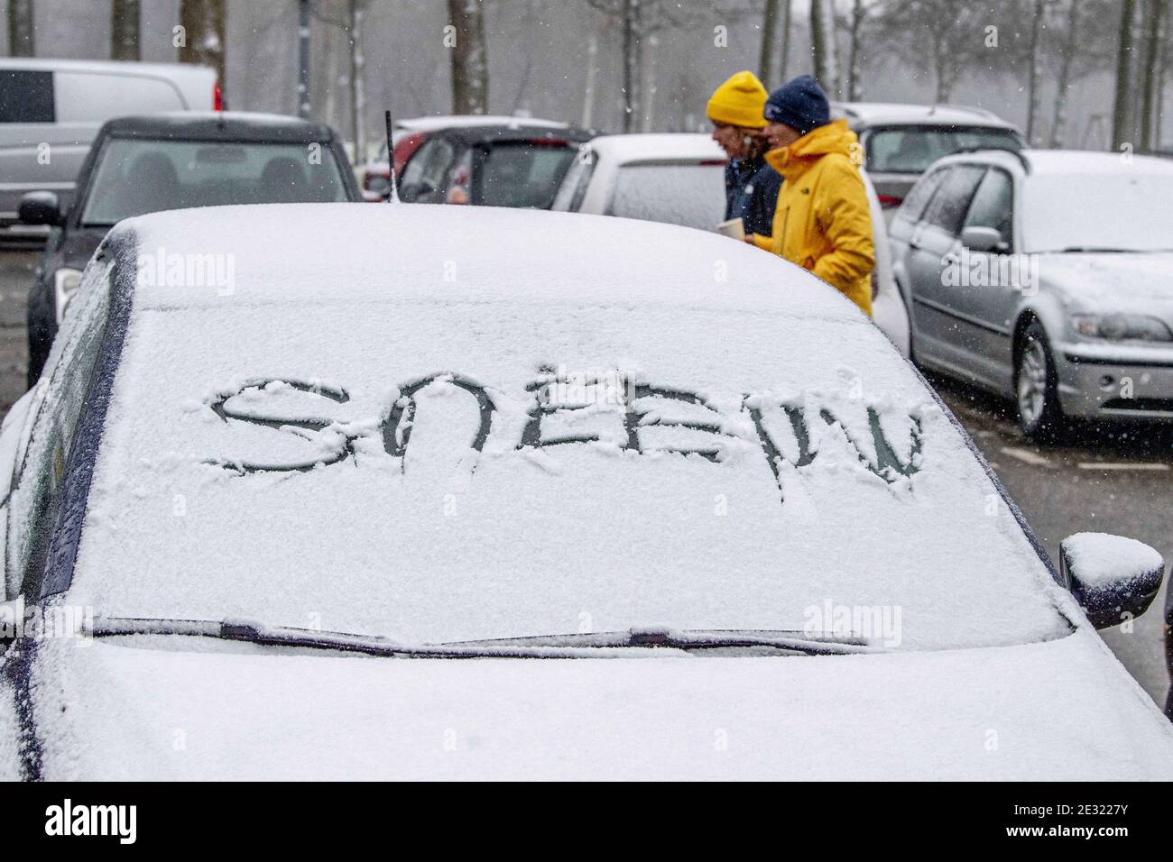The first snow fell in Zeeland, around Rotterdam, Netherlands, after ...
