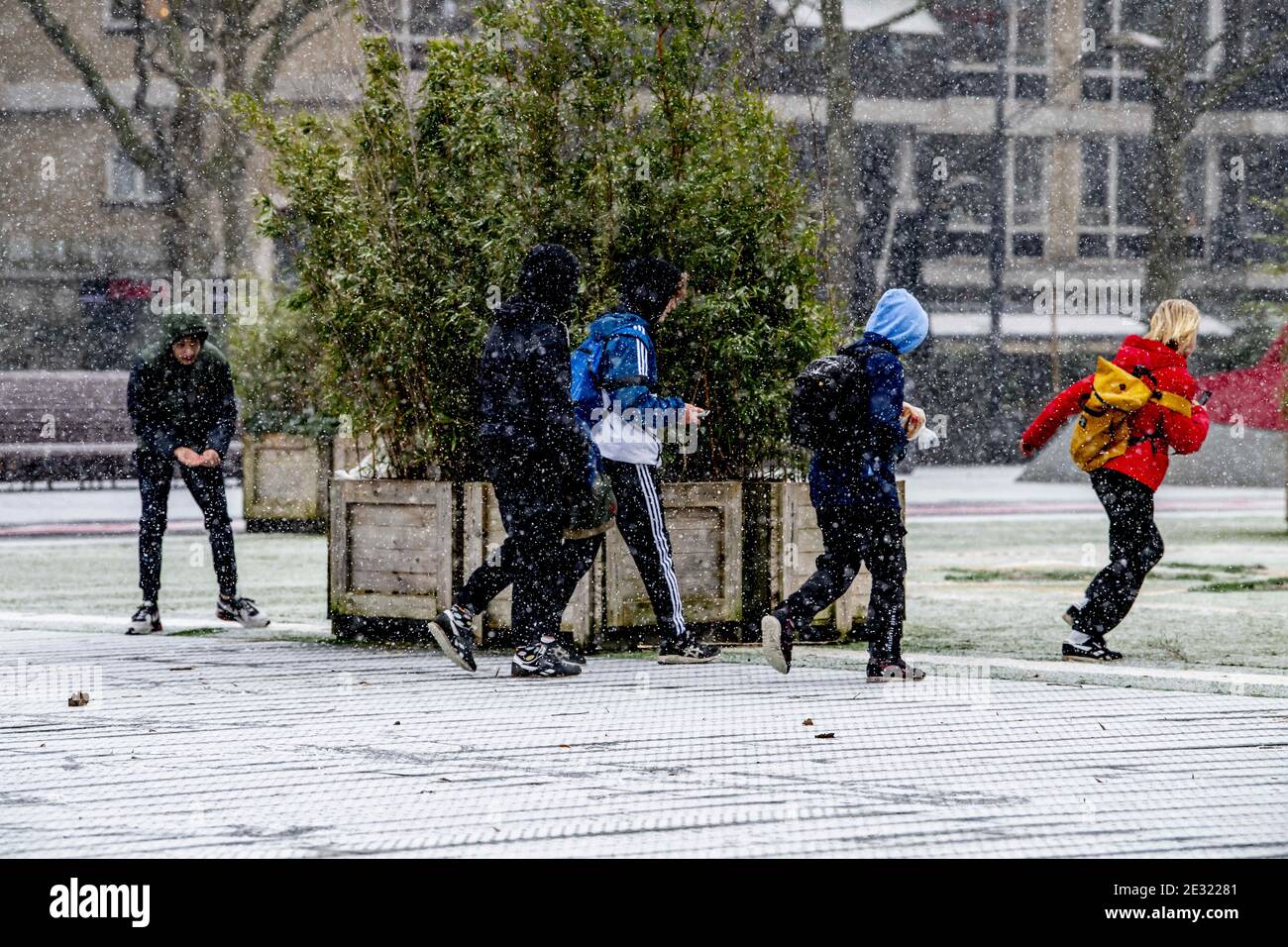 The first snow fell in Zeeland, around Rotterdam, Netherlands, after ...