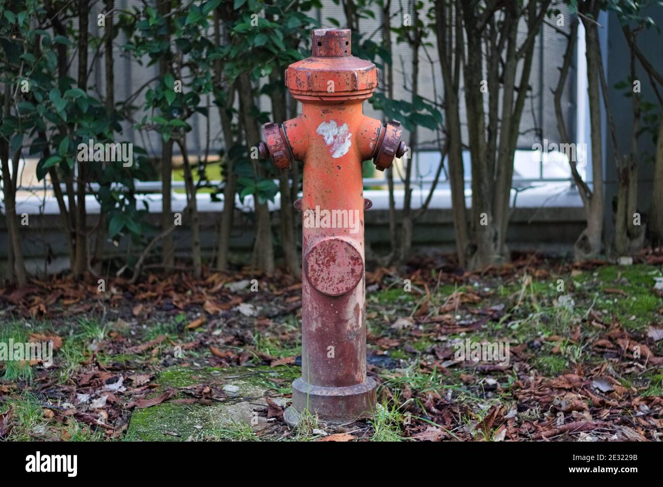 A red fire hydrant by the roadside (Marche, Italy, Europe Stock Photo ...