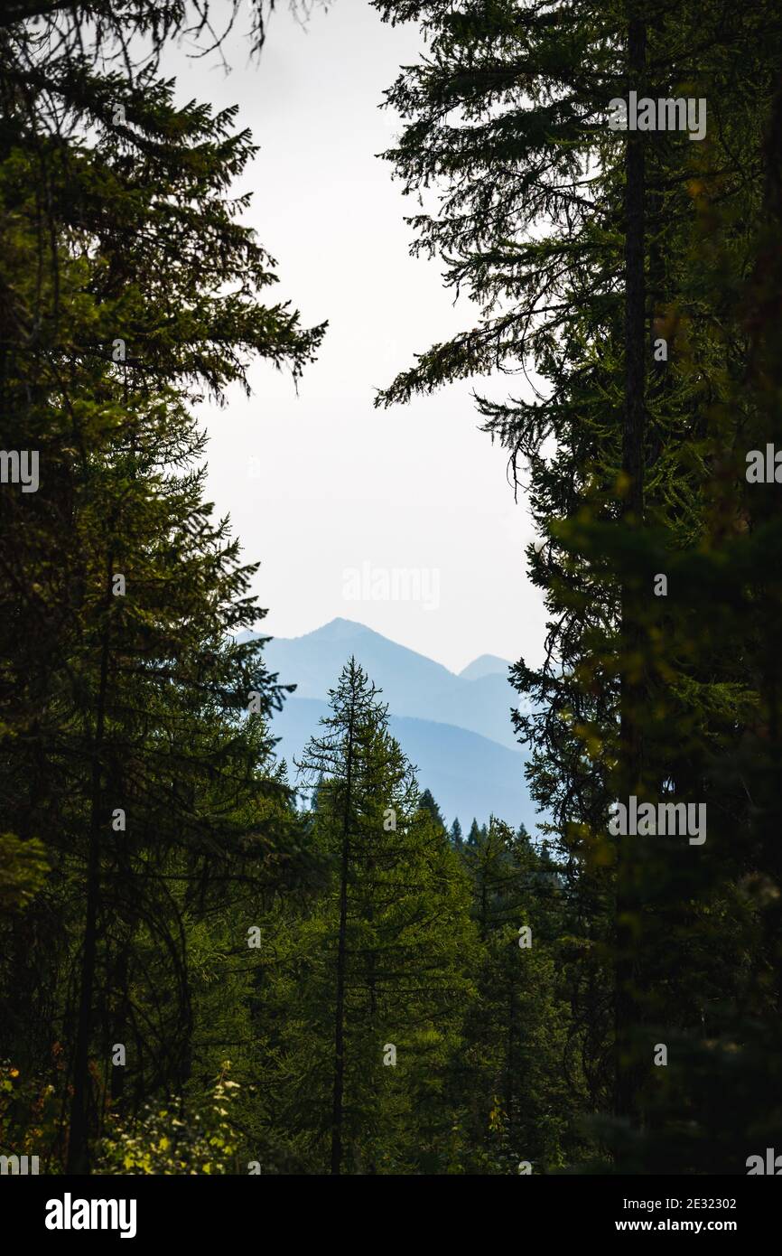 Morning mountain view hi-res stock photography and images - Alamy