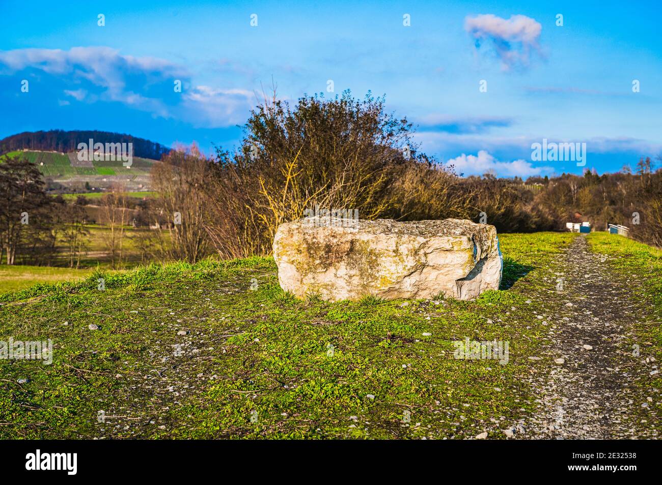 Big stone meadow with dried plants and green grass Stock Photo - Alamy