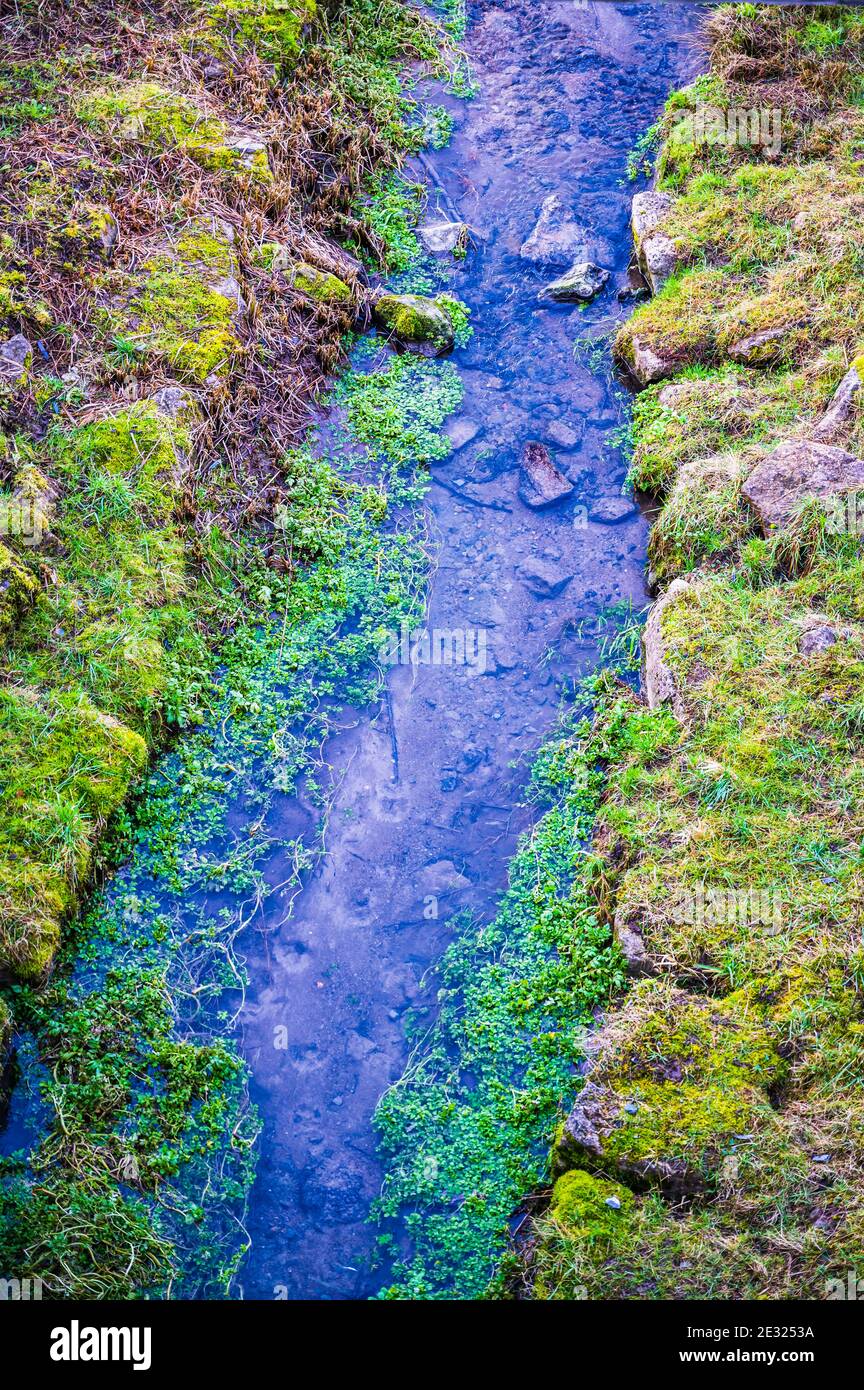 Vertical shot of a water canal on the ground Stock Photo - Alamy