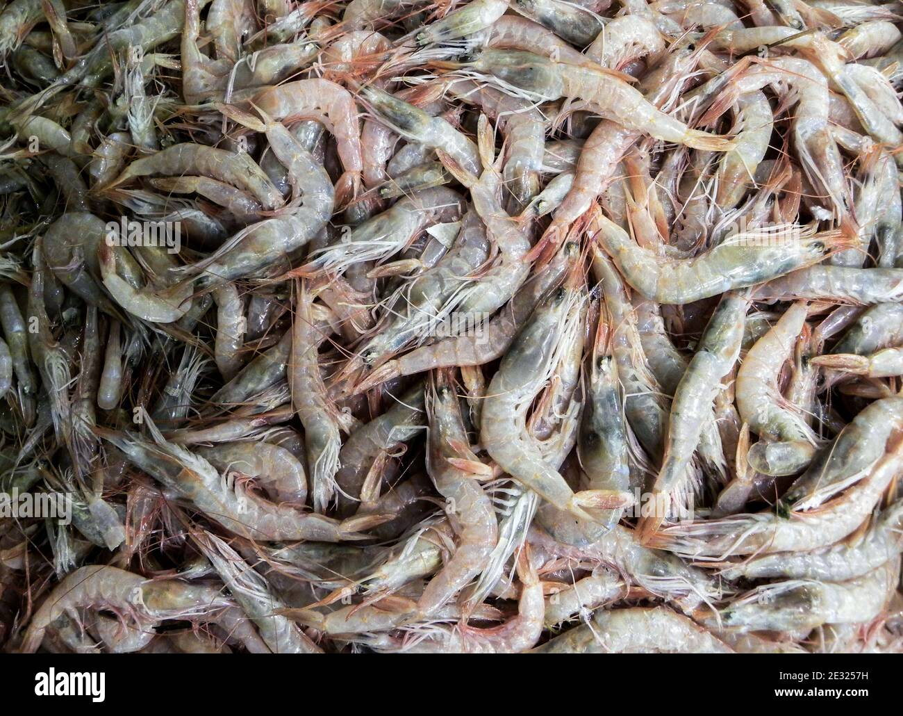 African dried fish hi-res stock photography and images - Alamy