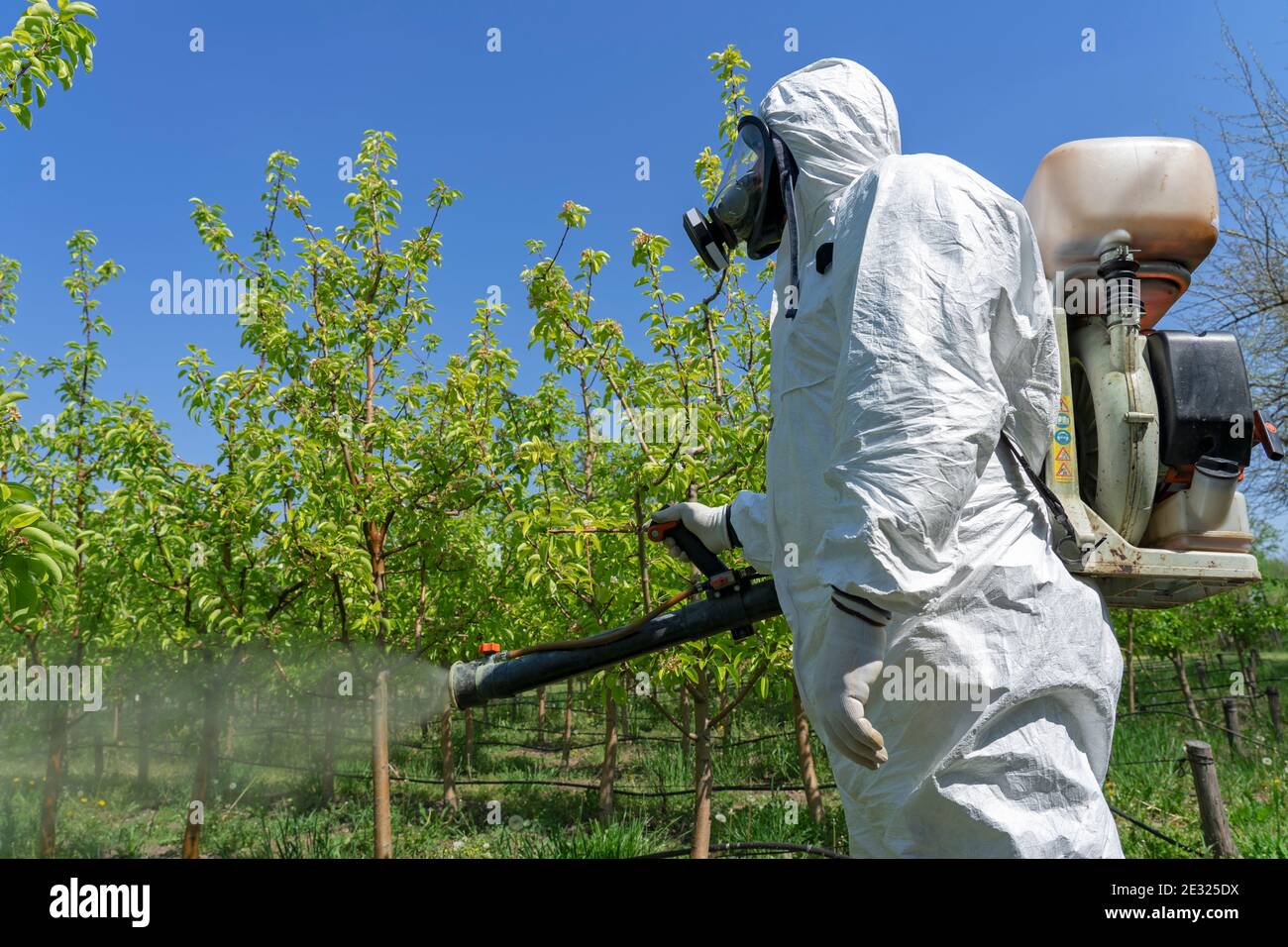 Man in Coveralls With Gas Mask Spraying Orchard in Springtime. Farmer ...