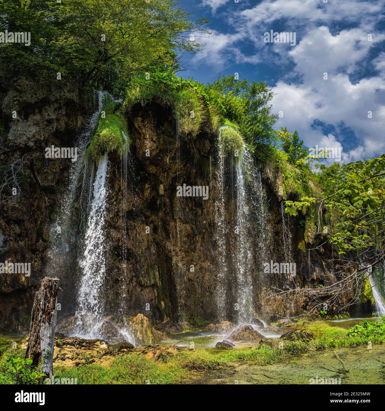Tree trunk in front of tall waterfalls illuminated by sunlight in ...