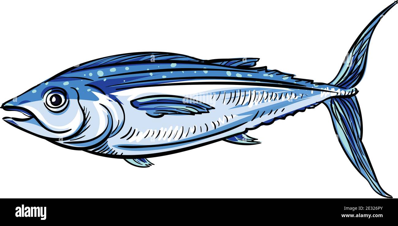 Seafood tuna icon, cartoon style Stock Vector Image & Art - Alamy