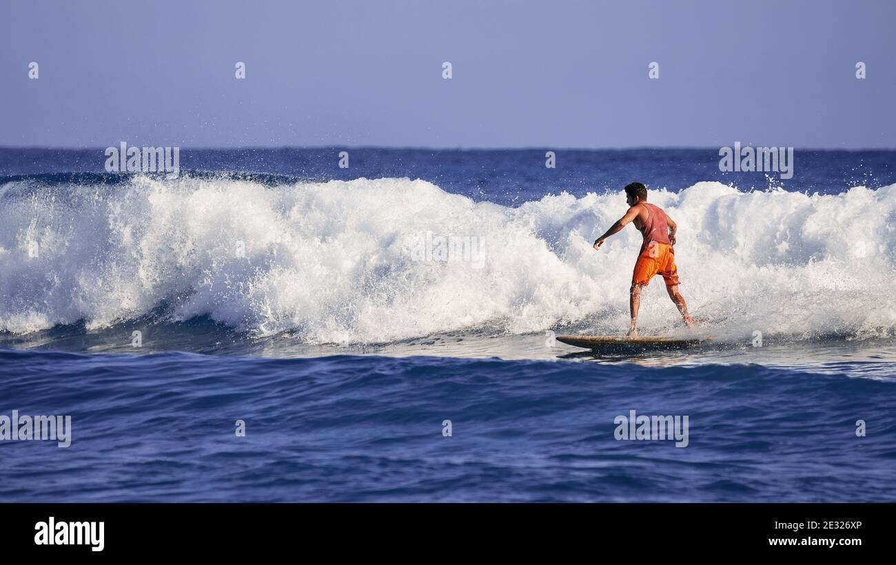 Surfer school. A young guy learning to stand on a surfboard. Surfer on ...