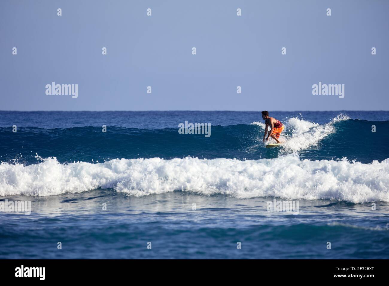Surfer school. A young guy learning to stand on a surfboard. Surfer on ...
