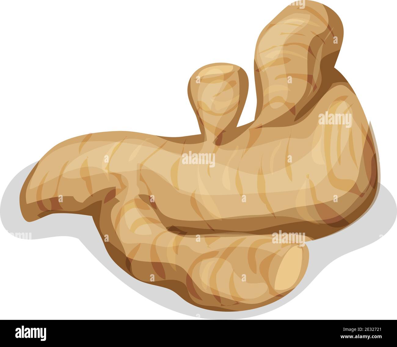 Natural ginger icon, cartoon style Stock Vector Image & Art - Alamy