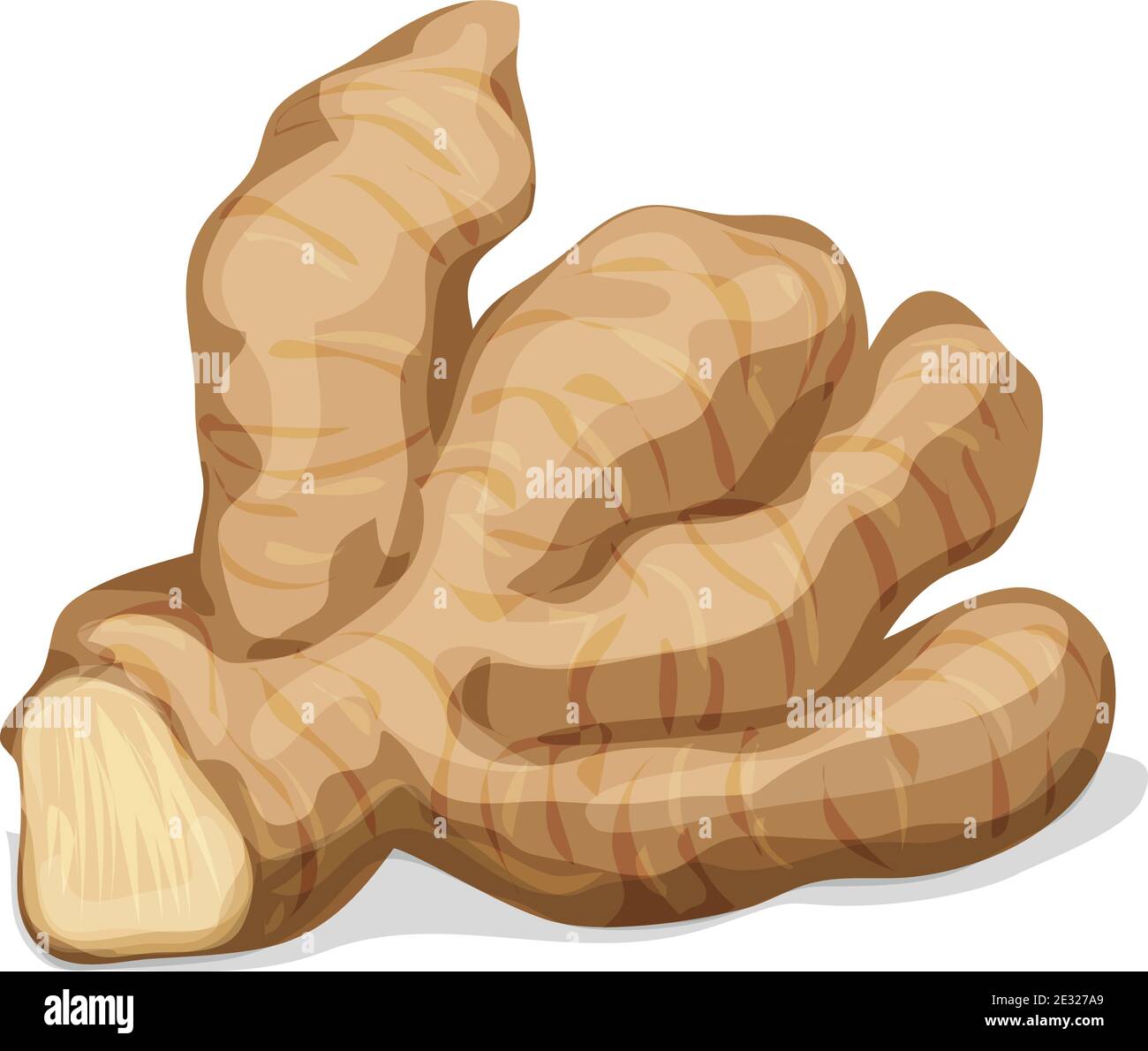 Ginger vegetable icon, cartoon style Stock Vector Image & Art - Alamy