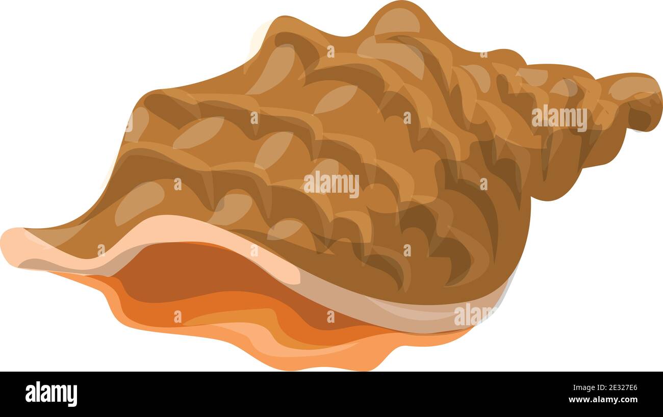 Sea shell icon, cartoon style Stock Vector Image & Art - Alamy