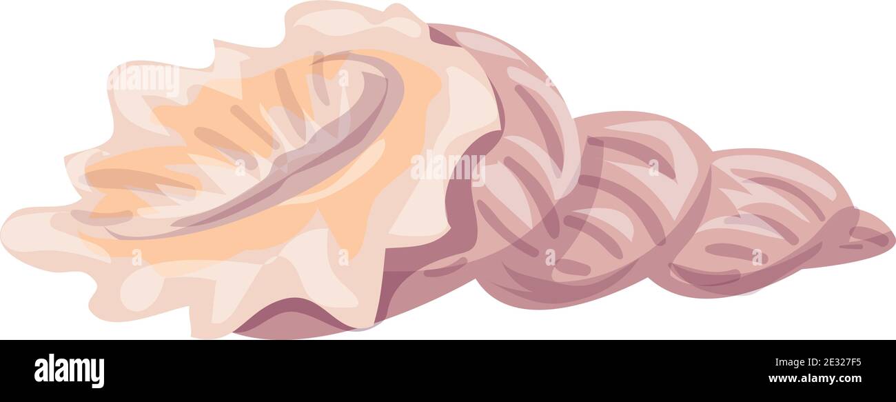 Sea beach shell icon, cartoon style Stock Vector Image & Art - Alamy