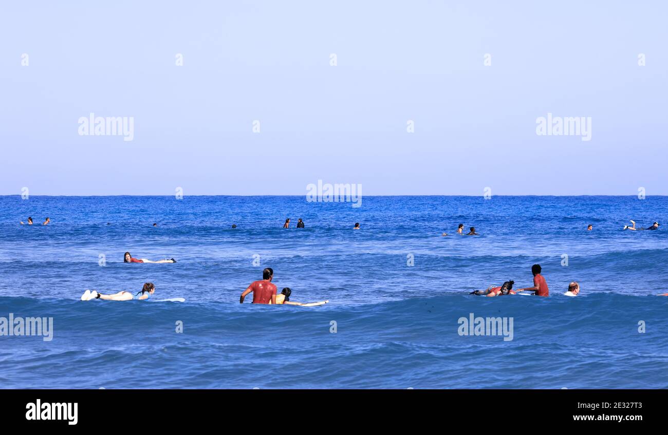 Surf school, students waiting for the first wave. Surfer on the wave ...