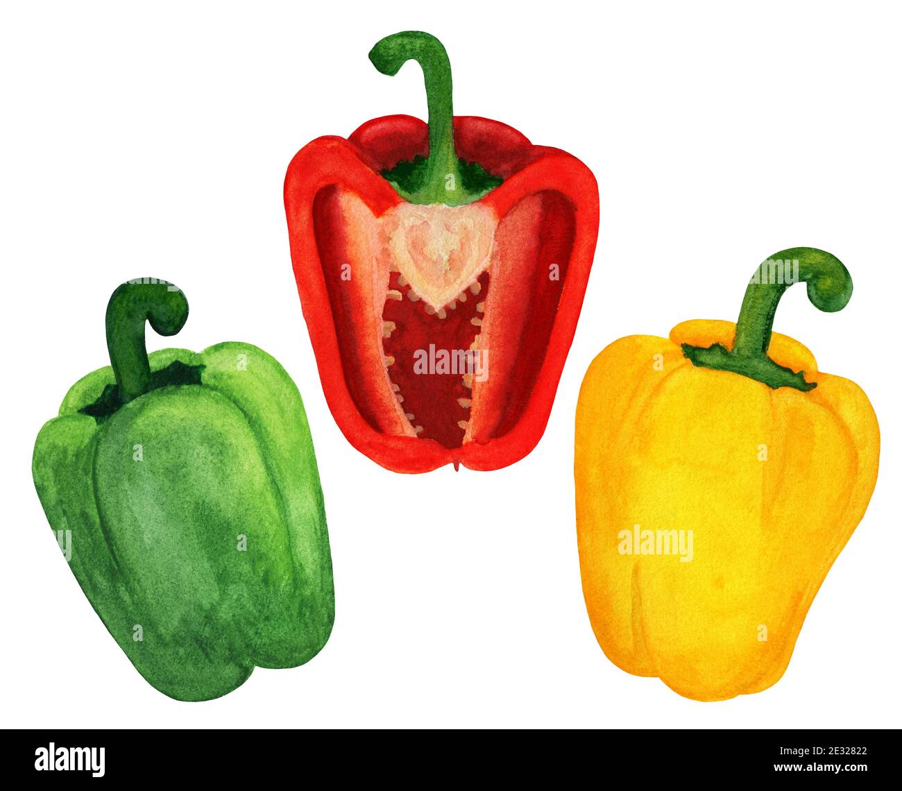 Sweet green pepper watercolor Cut Out Stock Images & Pictures - Alamy