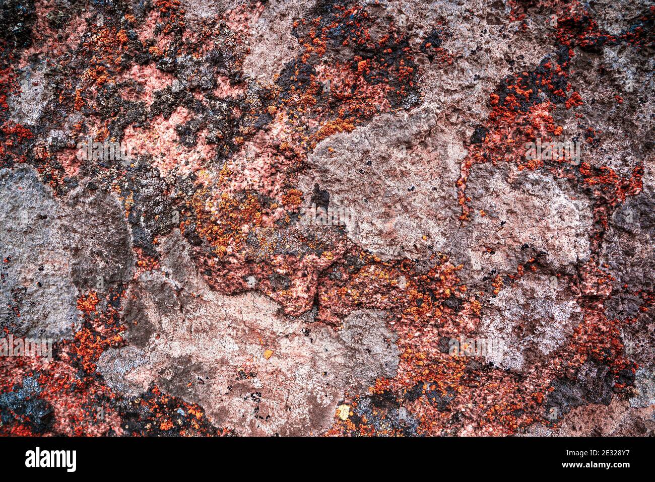An unusual pattern of multi-colored mold on gray stone wall with moss ...