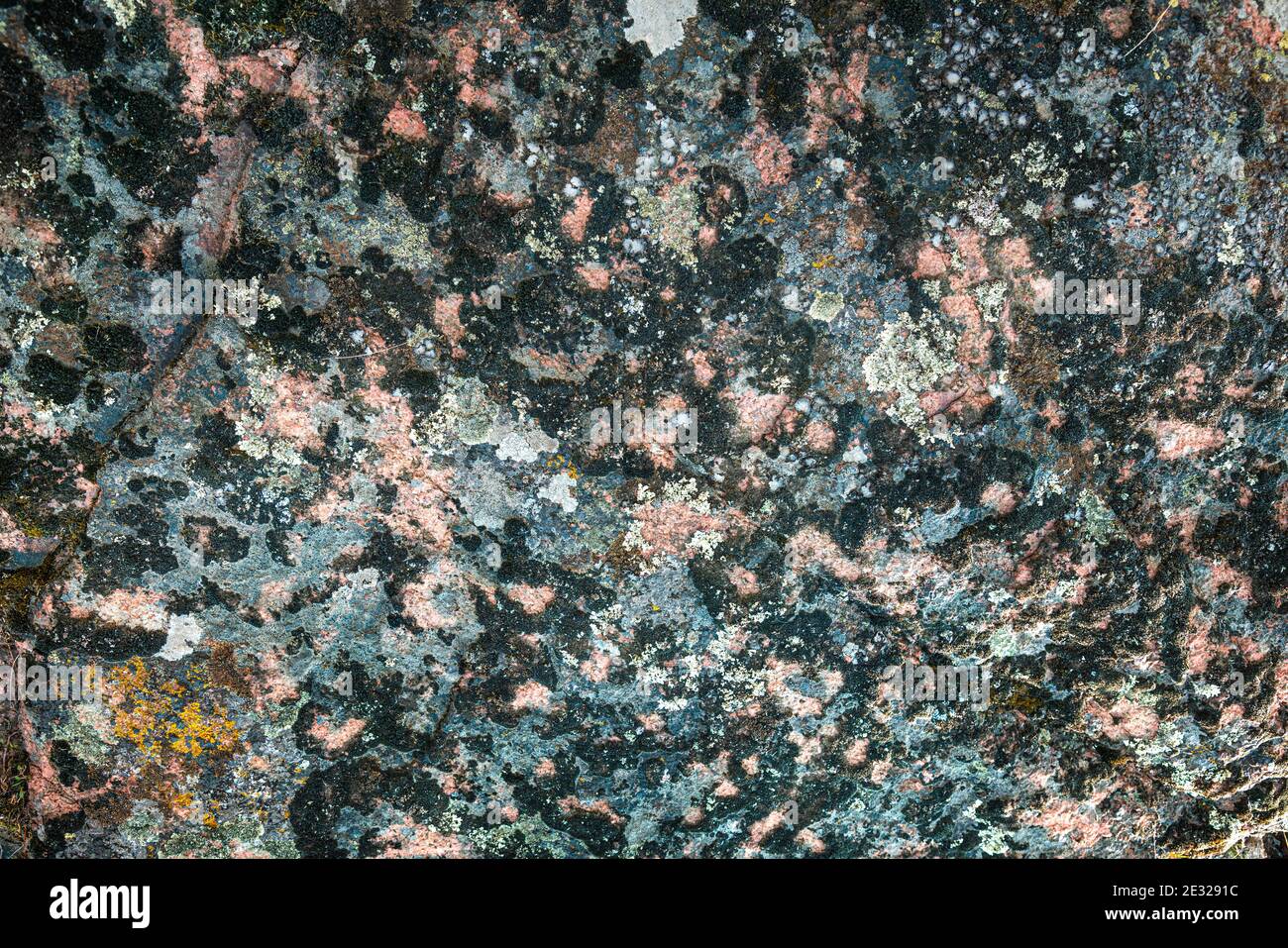 An unusual pattern of multi-colored mold on gray stone wall with moss ...