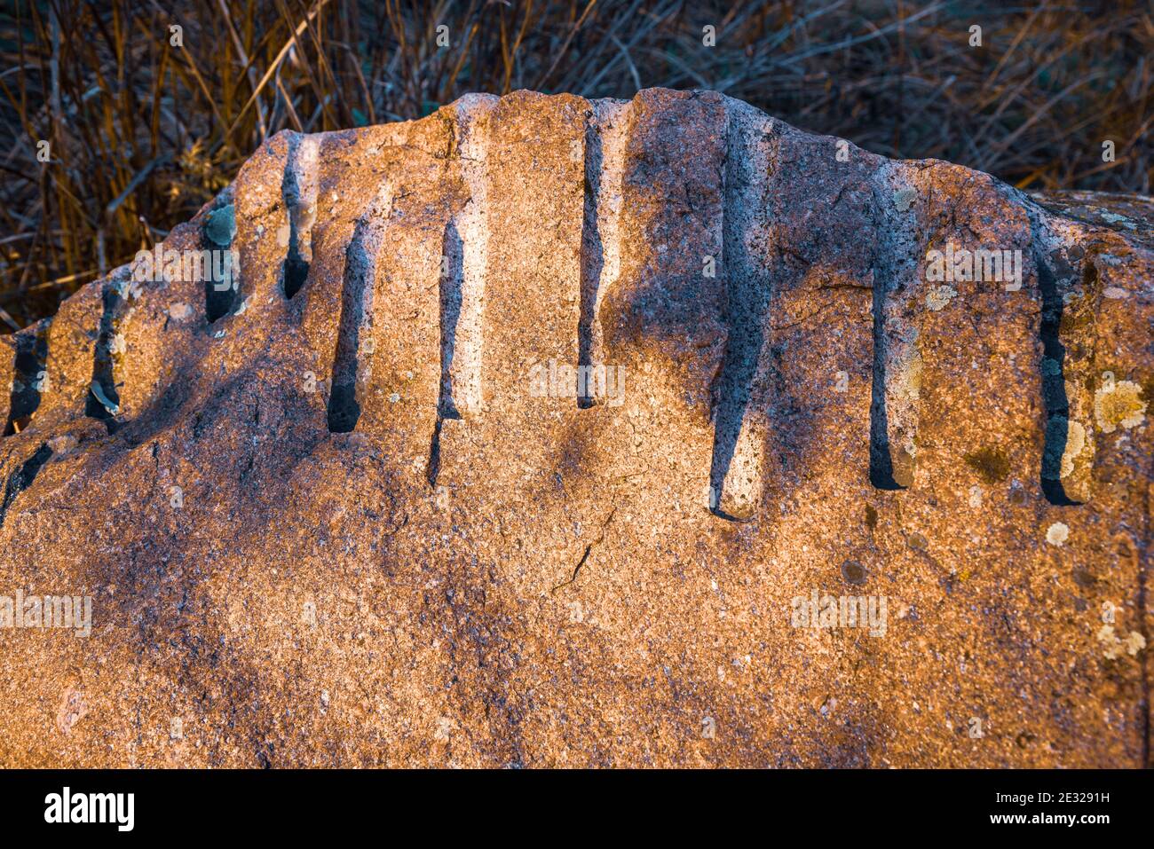 Unusual light stone with small protrusions traces in the bright sun in ...