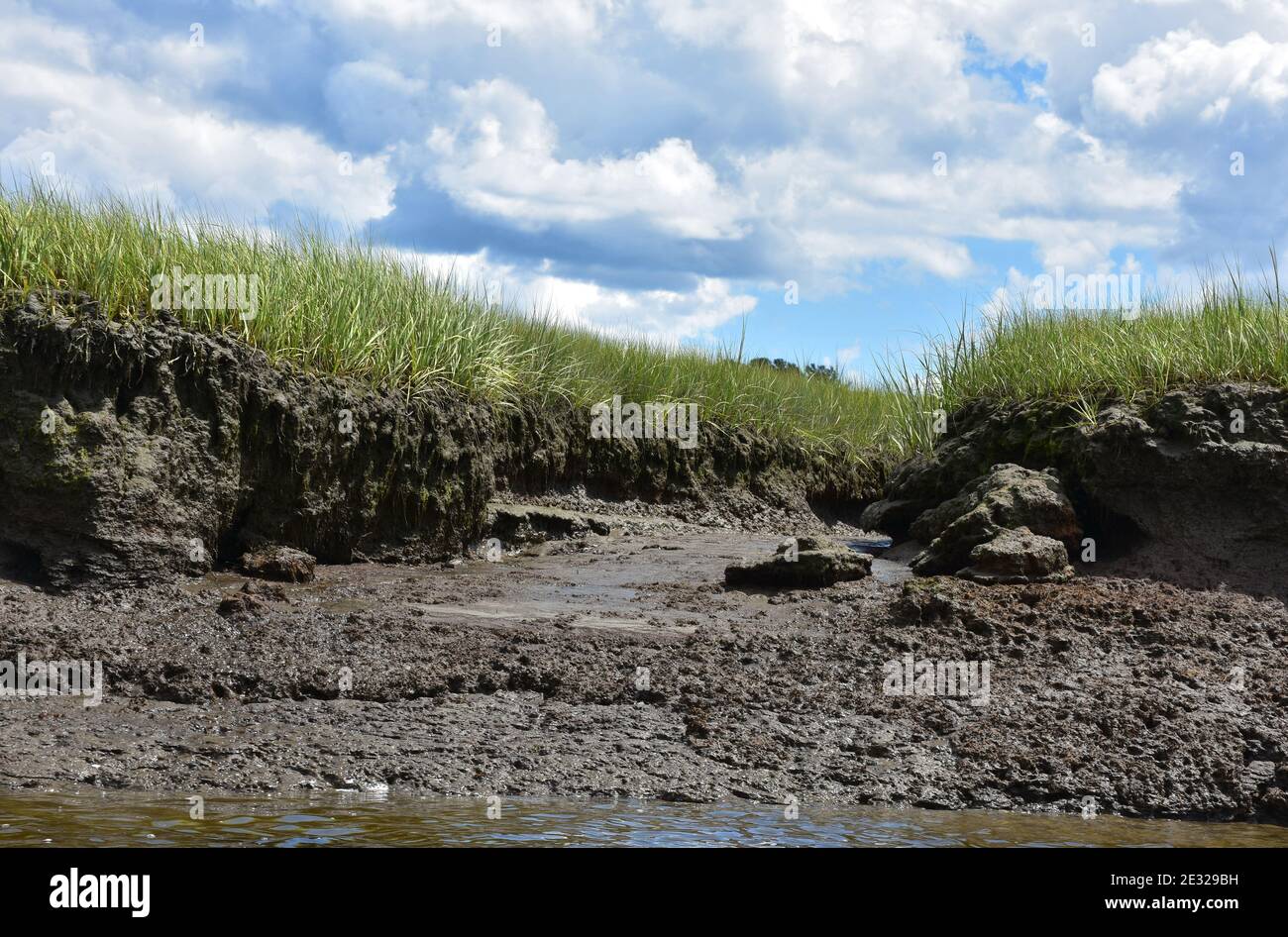 Layers of muck in a tidal river and marsh Stock Photo - Alamy