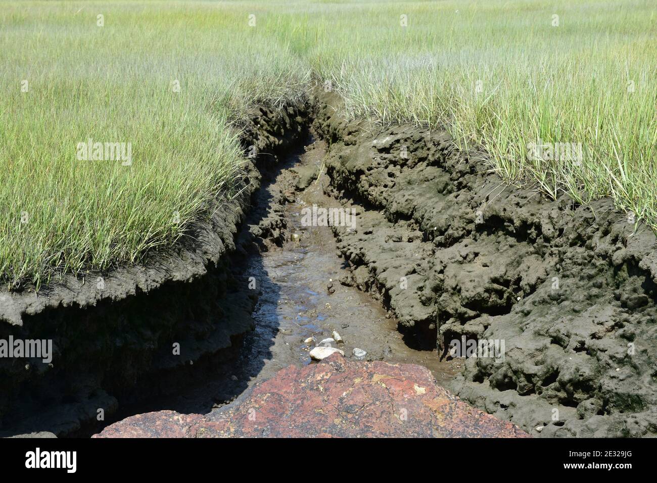 Amazing tidal river landscape with marsh grass and mud Stock Photo - Alamy