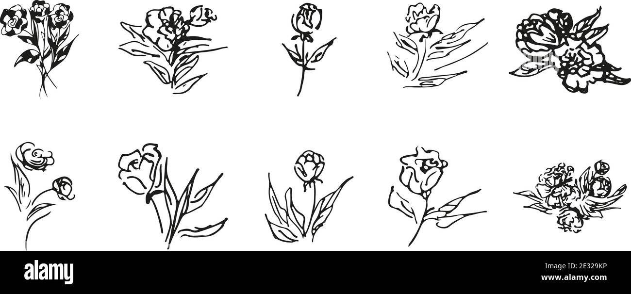 Doodle simple vector collection of 10 hand-drawn roses. Big collection ...