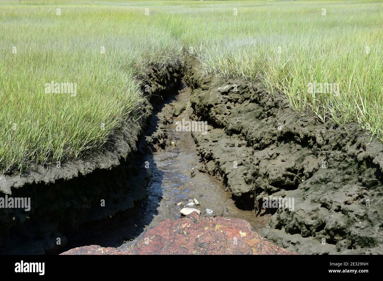 Thick Mud High Resolution Stock Photography and Images - Alamy
