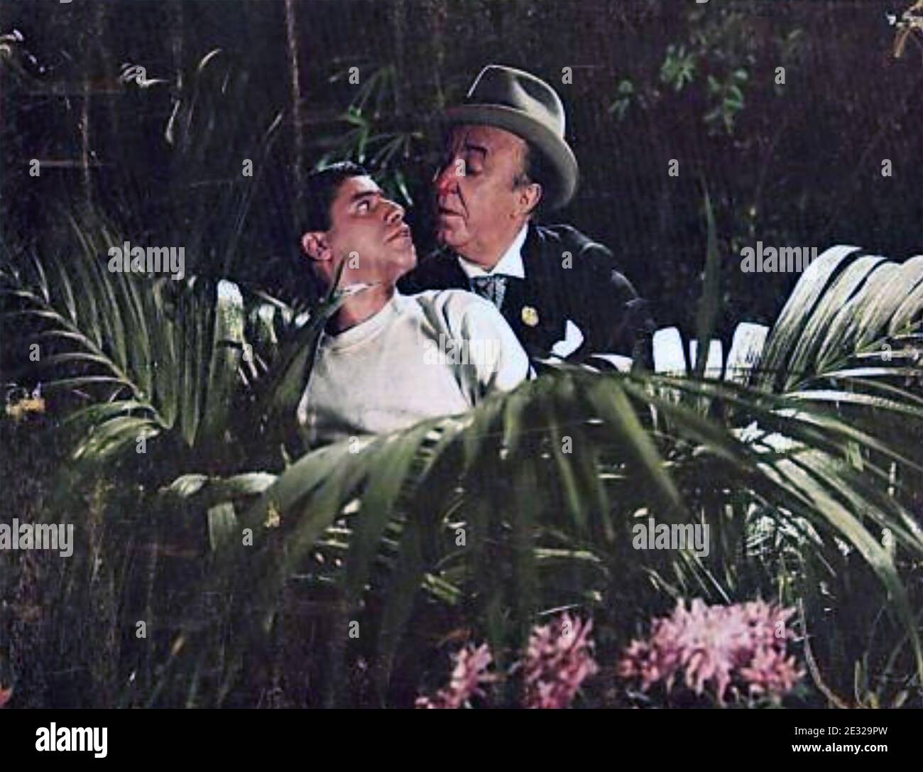 Cinderfella movie hi-res stock photography and images - Alamy