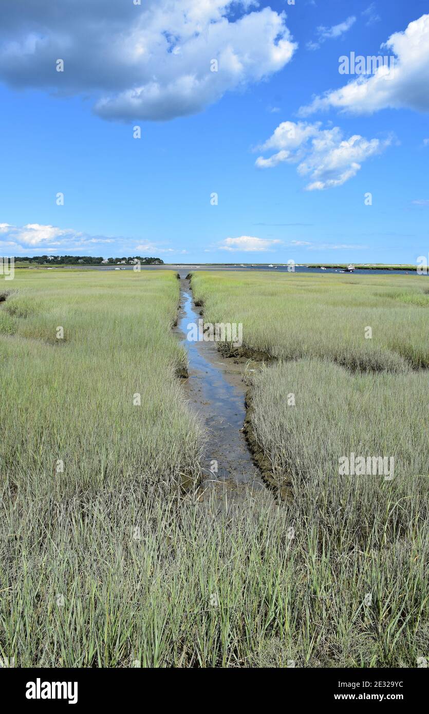 New england tidal inlet hi-res stock photography and images - Alamy