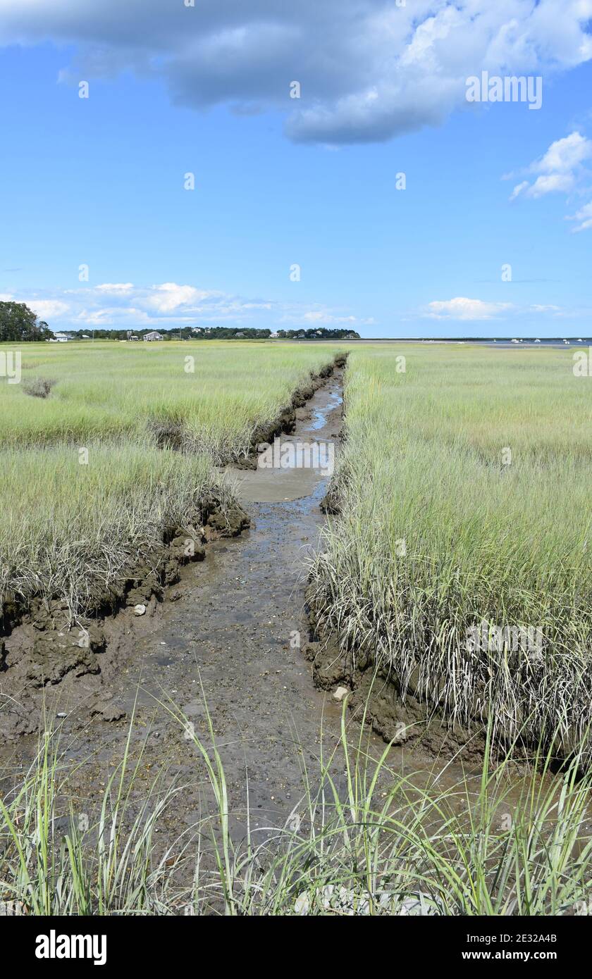 Rivers inlet hi-res stock photography and images - Alamy