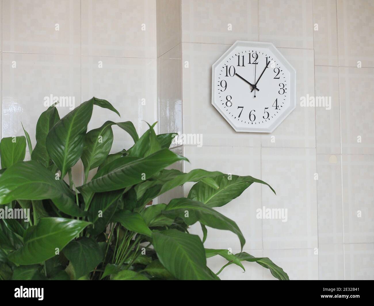Waiting concept house plant hi-res stock photography and images - Alamy