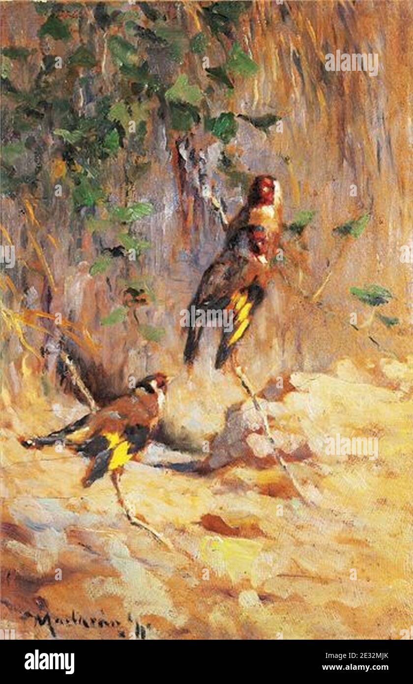 Madarak (Madarász Gyula Stock Photo - Alamy