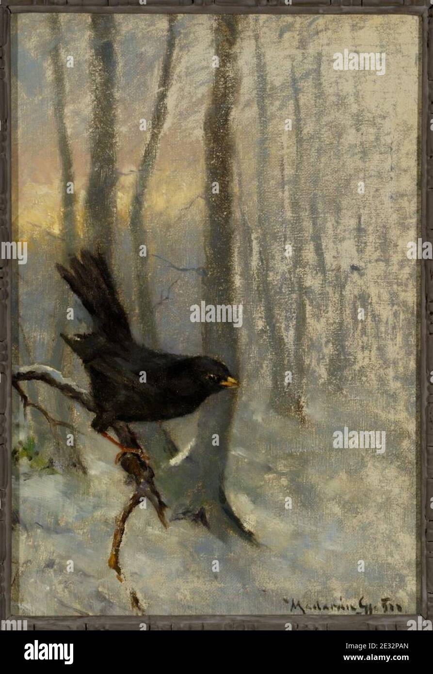 Madar tree hi-res stock photography and images - Alamy