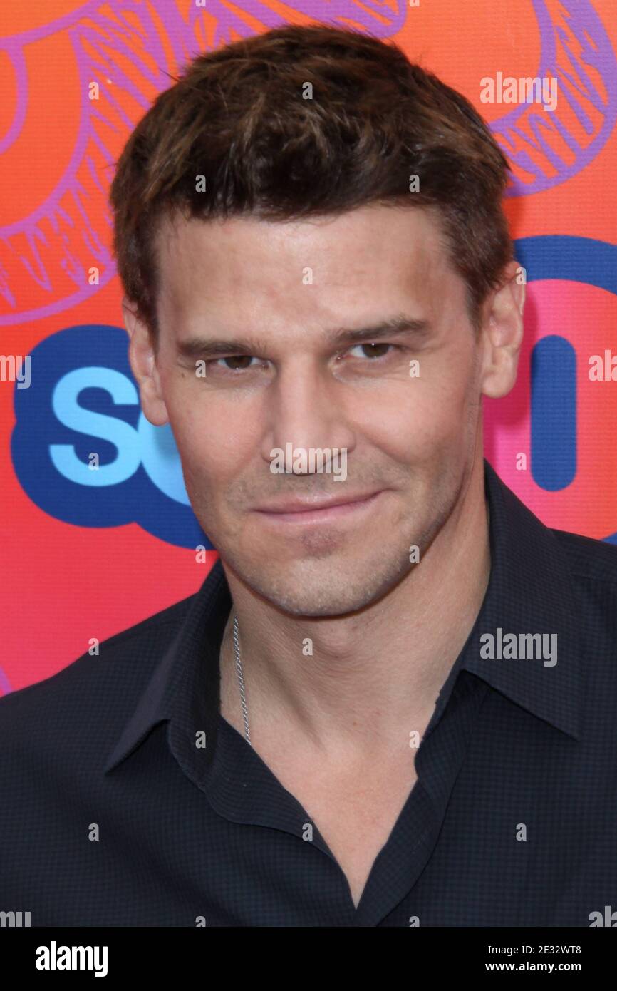 David Boreanaz arriving for the 'Fox 2010 Summer TCA All-Star Party ...