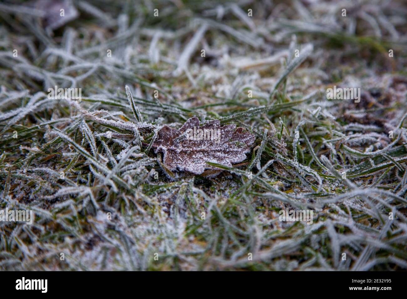 Icey ground hi-res stock photography and images - Alamy