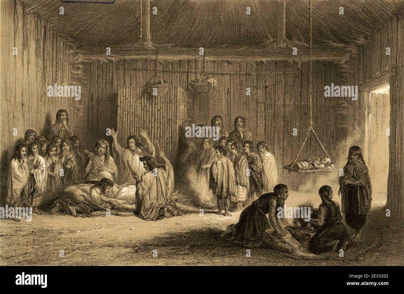 Mapuche tree hi-res stock photography and images - Alamy