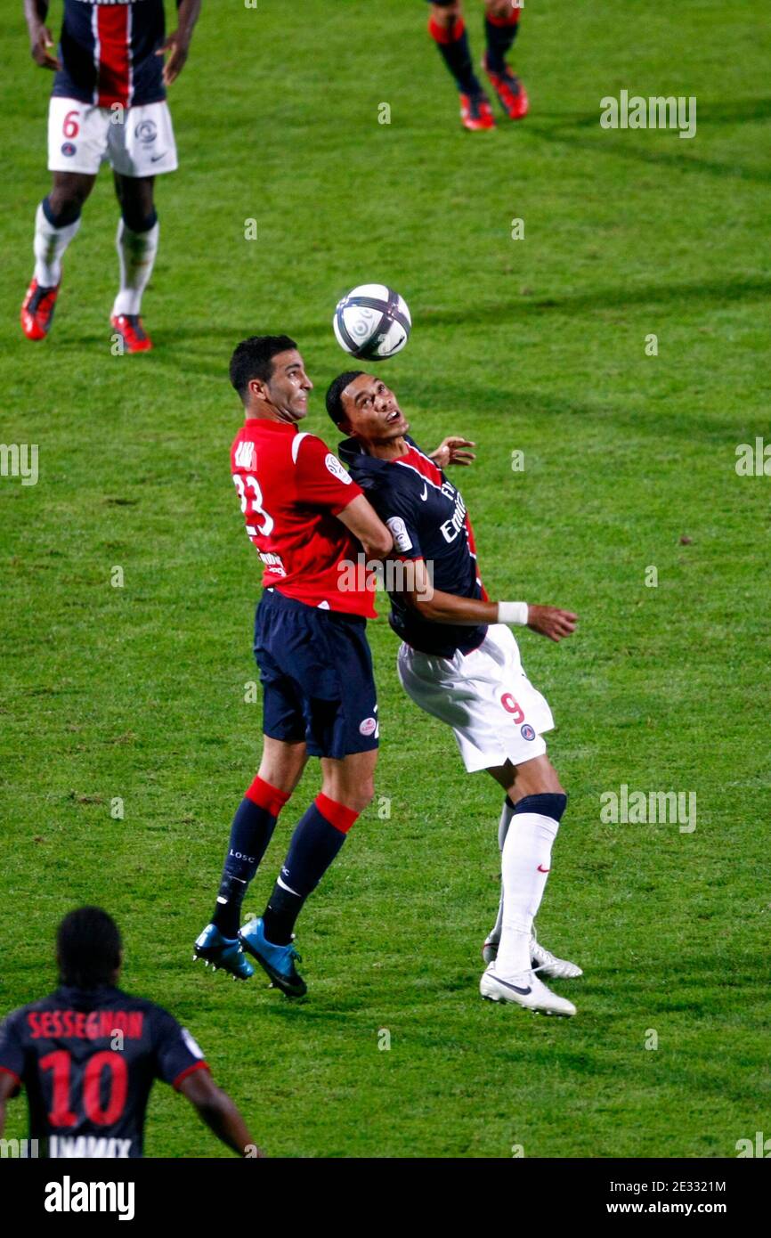 Nene psg hi-res stock photography and images - Alamy