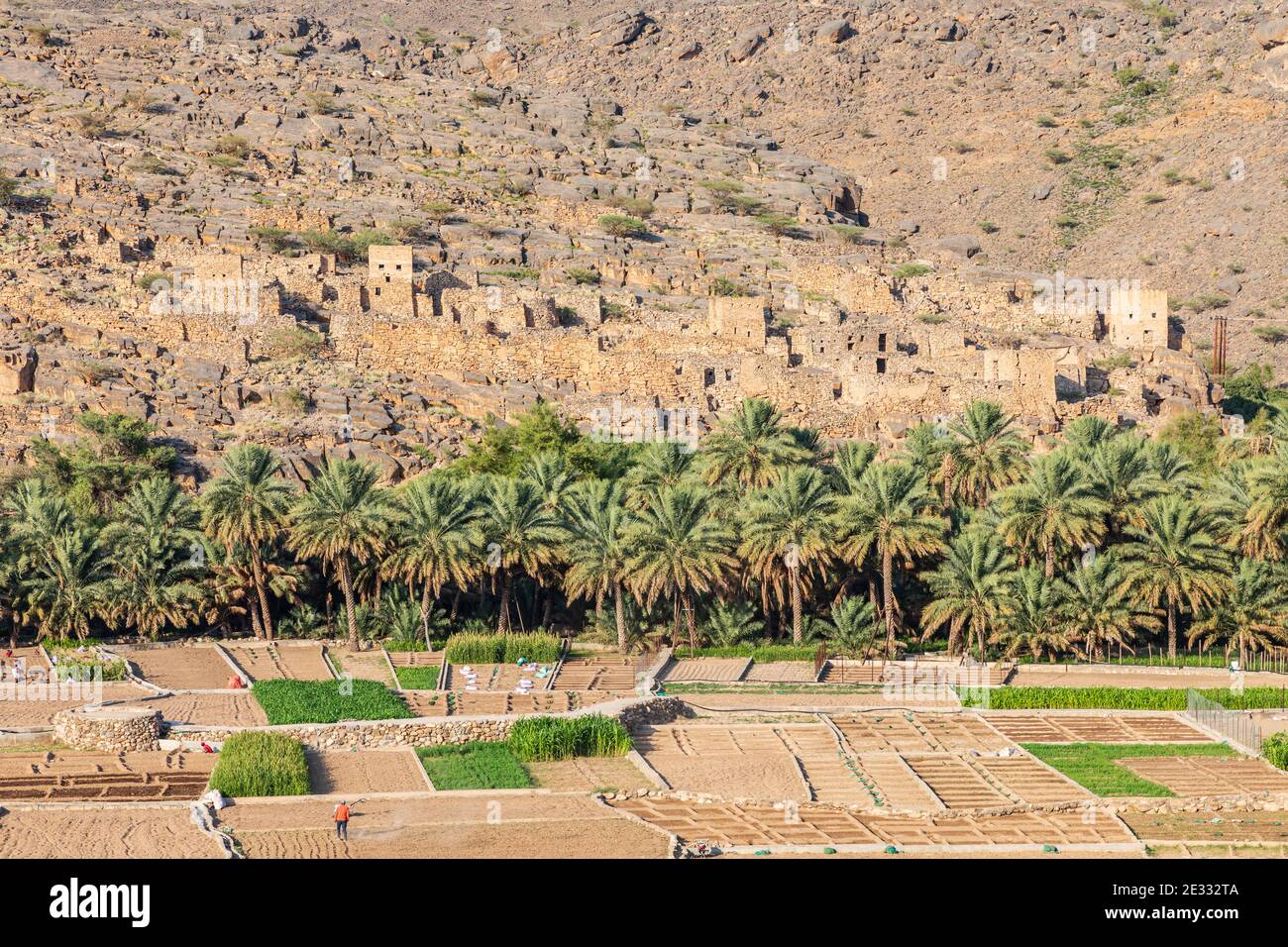 Middle East, Arabian Peninsula, Oman, Ad Dakhiliyah, Al Hamra. The ...