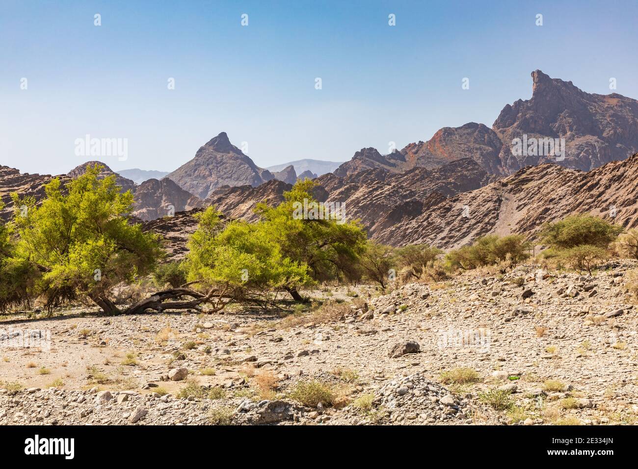 East asia trees and mountains hi-res stock photography and images - Alamy